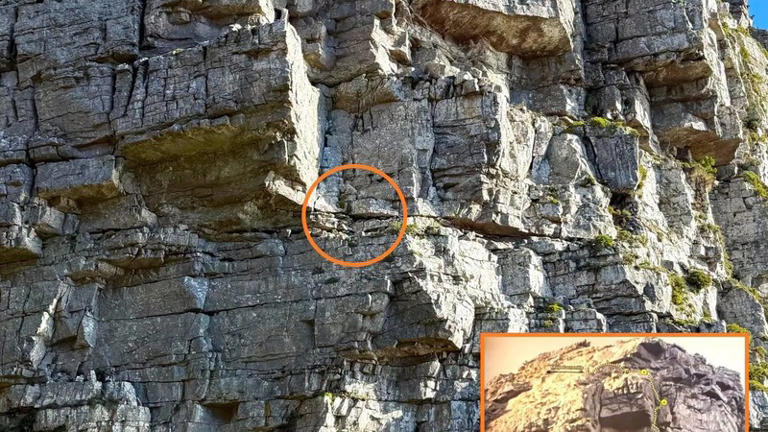 WSAR's daring rescues on Table Mountain during severe winter storms