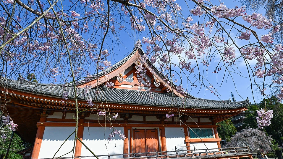 17 top cultural cities to visit in 2026