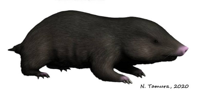 It looked & acted like today’s moles – but this was the first: a ...
