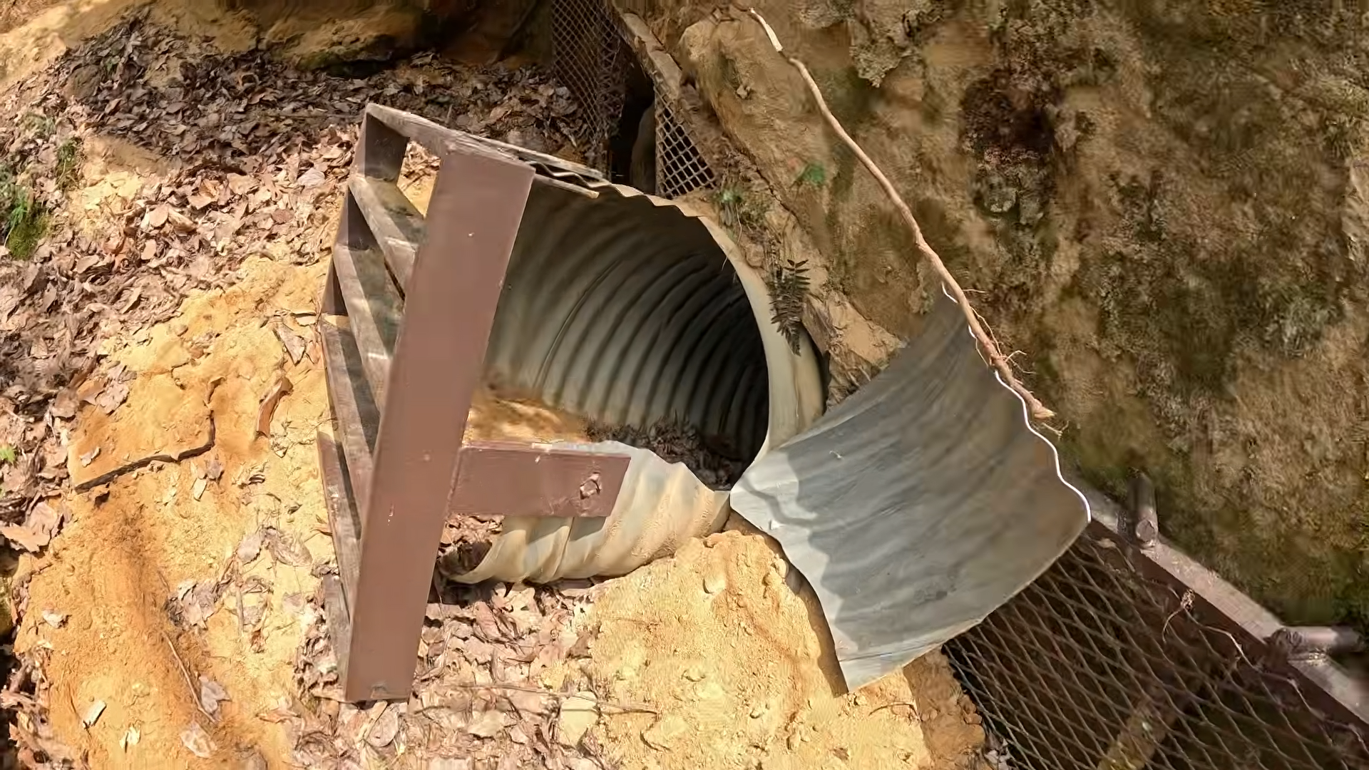 They ignored the warning and crawled into the pipe - then things got ...