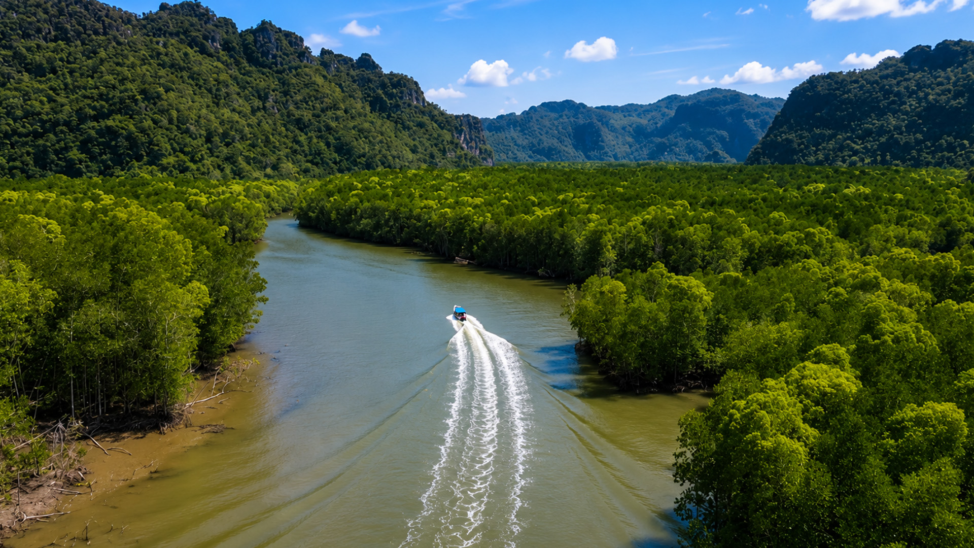 The mangrove waterway hidden among Malaysia’s limestone cliffs