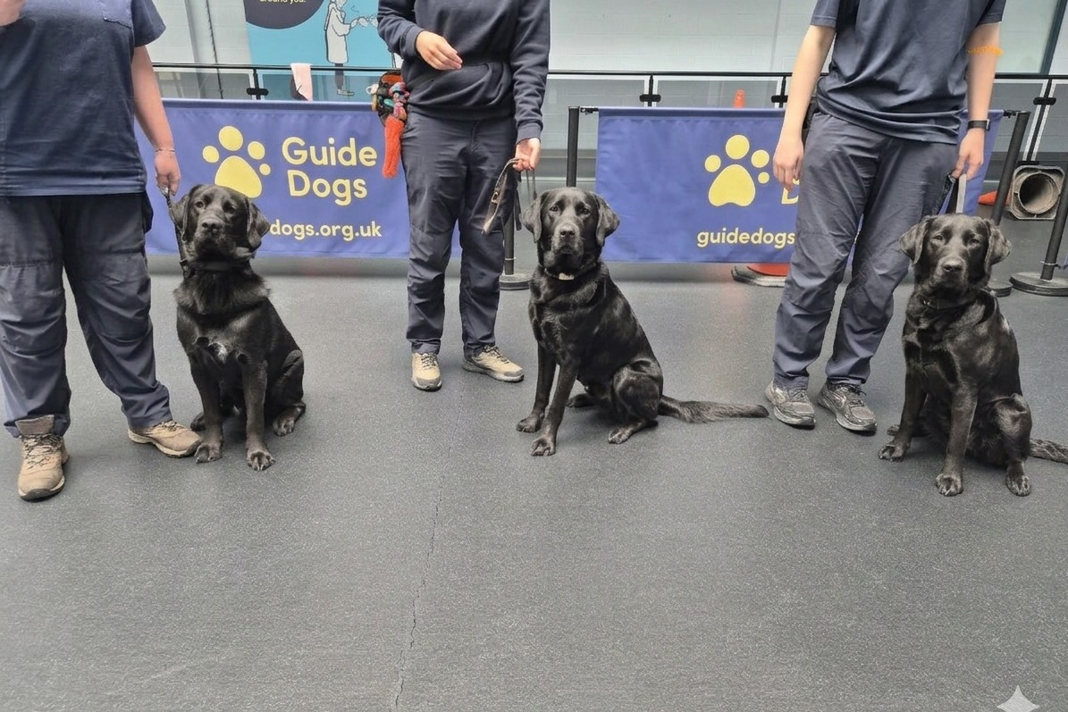 A Wigan borough guide dogs training centre is on the look-out for fosterers