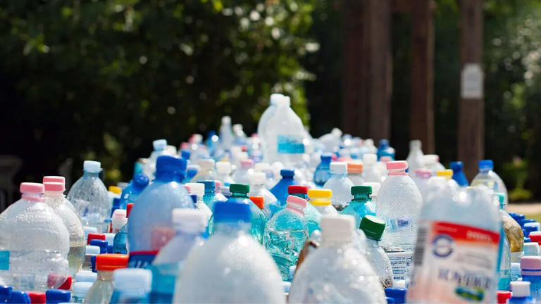 Your empty plastic bottle could one day power an electric vehicle ...