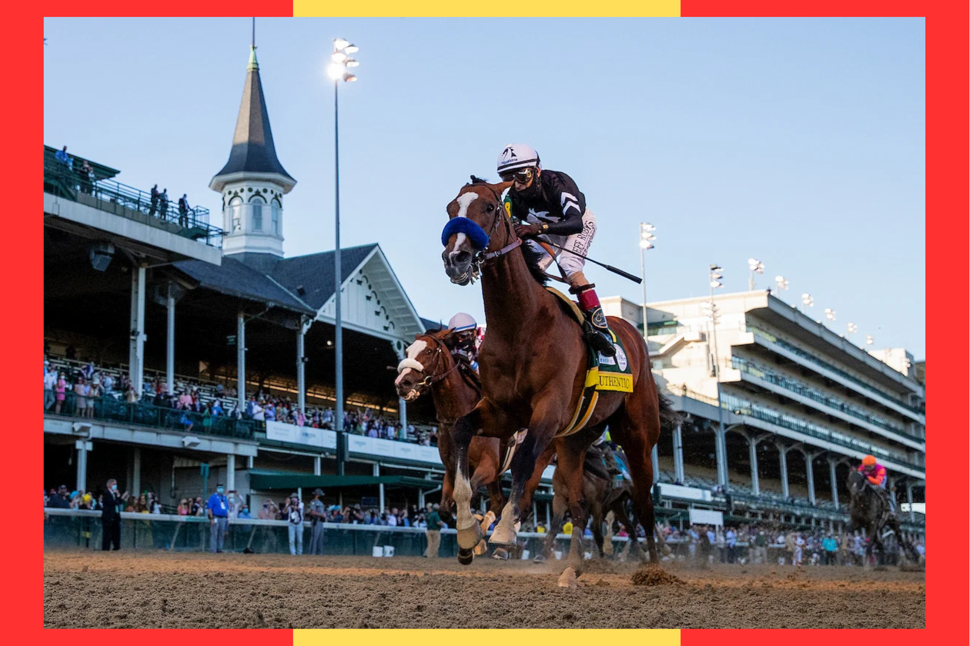 The average Kentucky Derby race horse costs nearly $500,000, but you ...