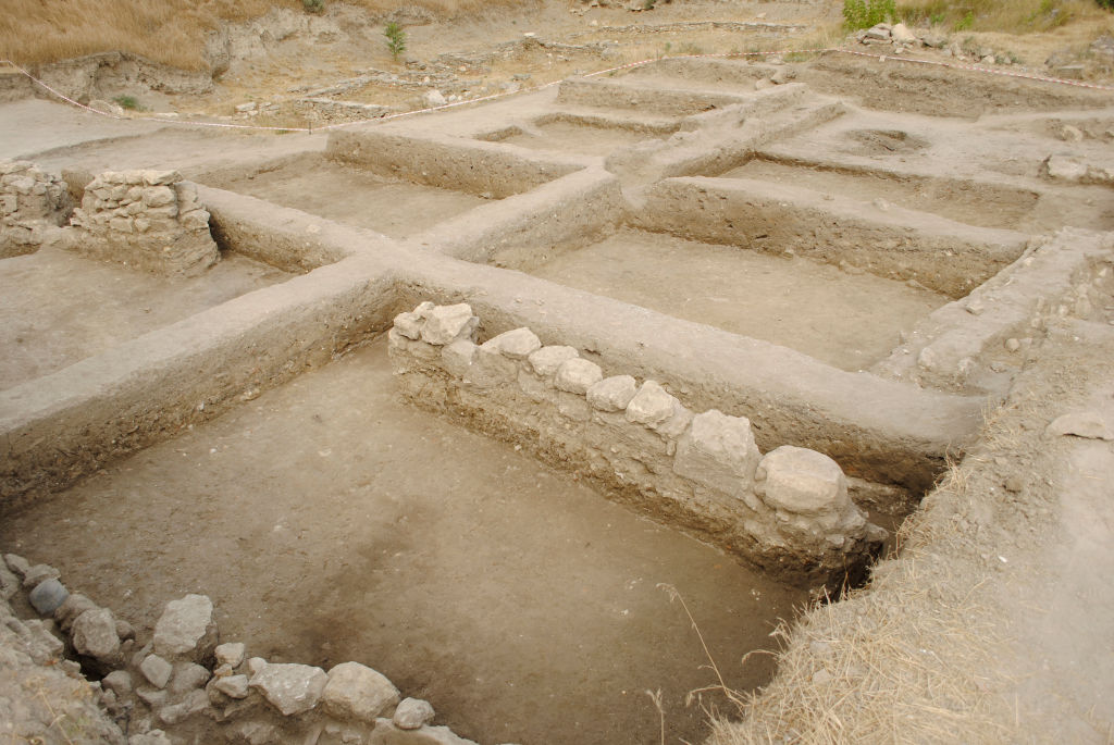 Hermitage Museum suspends archaeological expeditions in Crimea