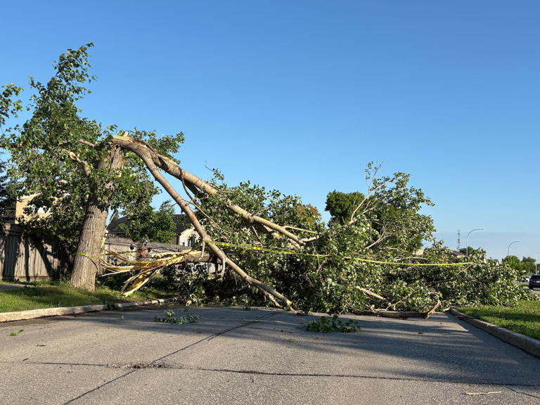 Tornado likely ripped apart home, left path of destruction in southwest ...