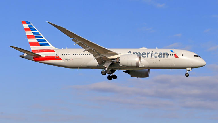 An American jet slammed on the brakes at Miami after a private jet ...