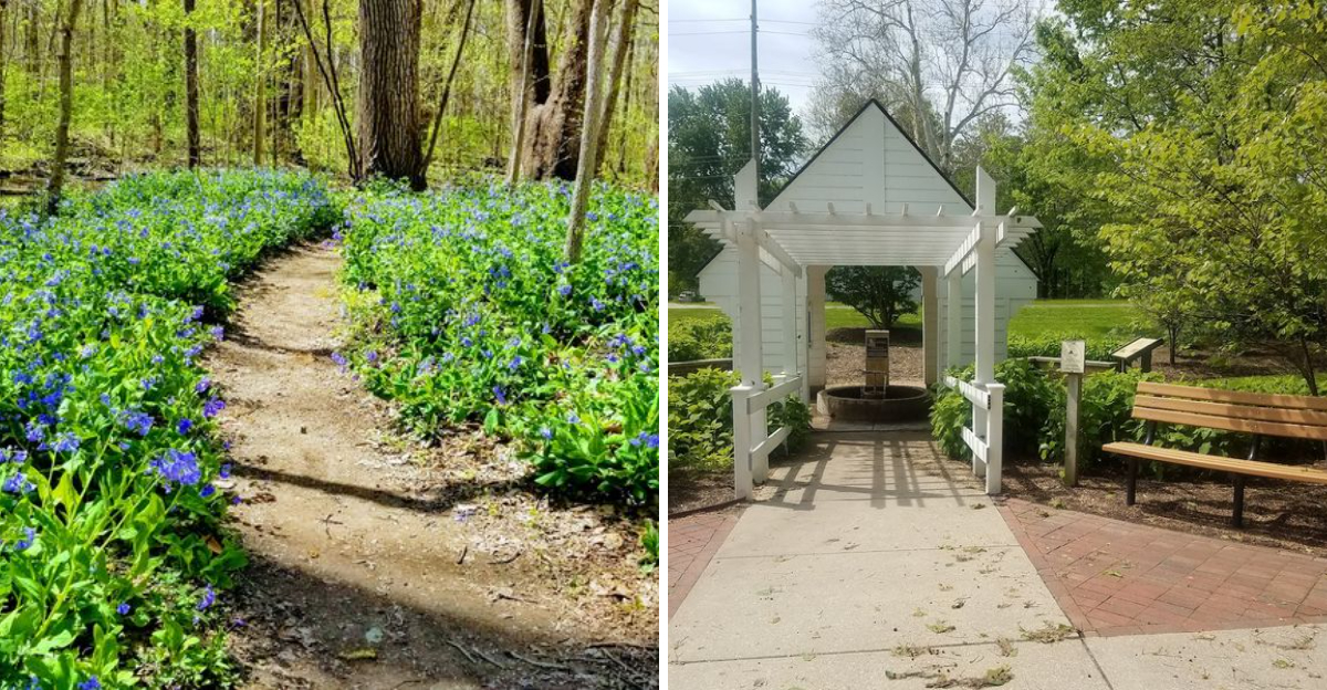 This secret Indiana natural well lets you fill giant jugs with free ice ...