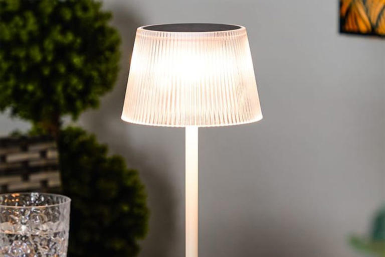 Home Bargains £1.99 solar lights come in five 'charming' designs