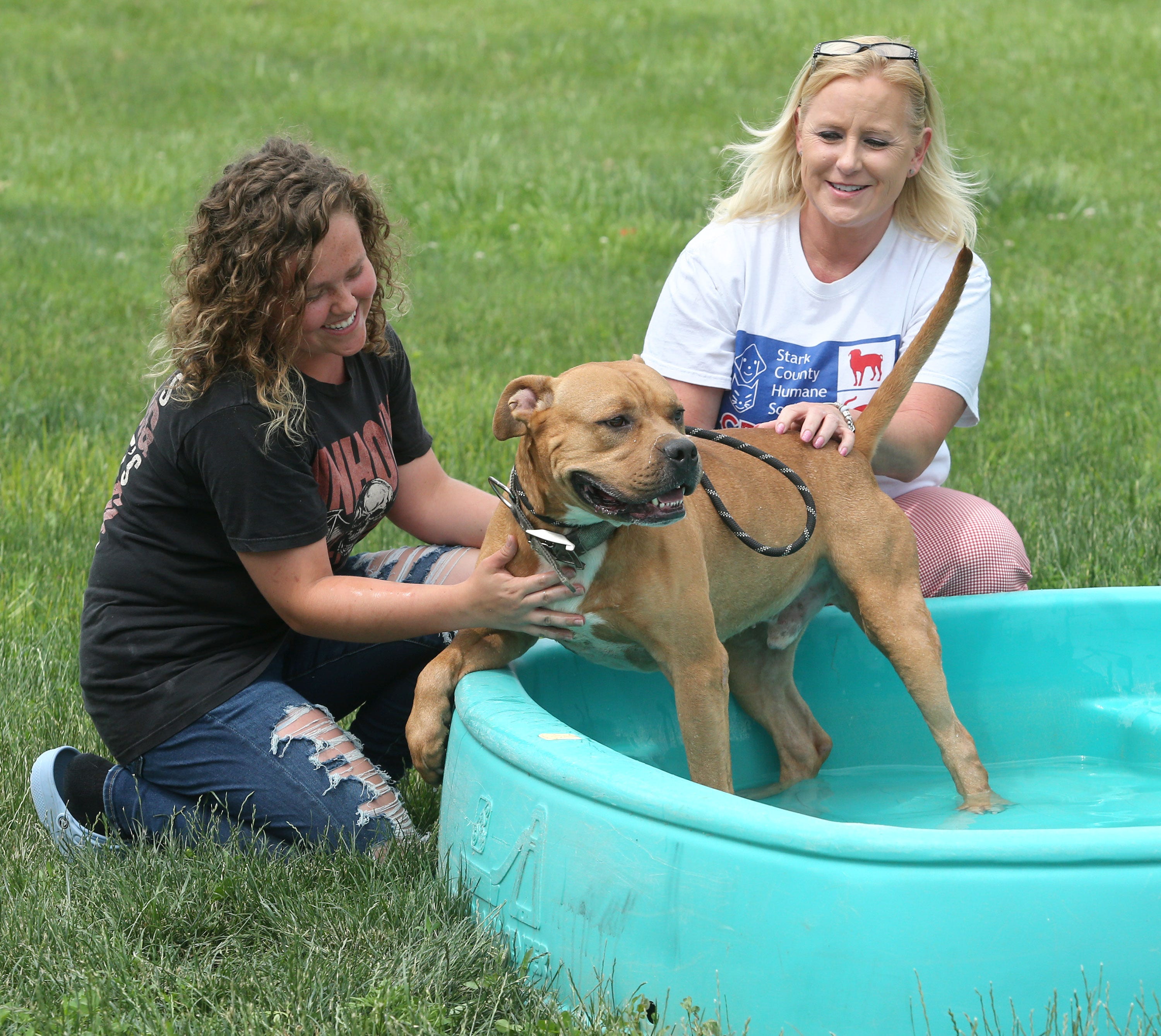 Stark Humane Society gives tips on keeping pets cool amid heat wave