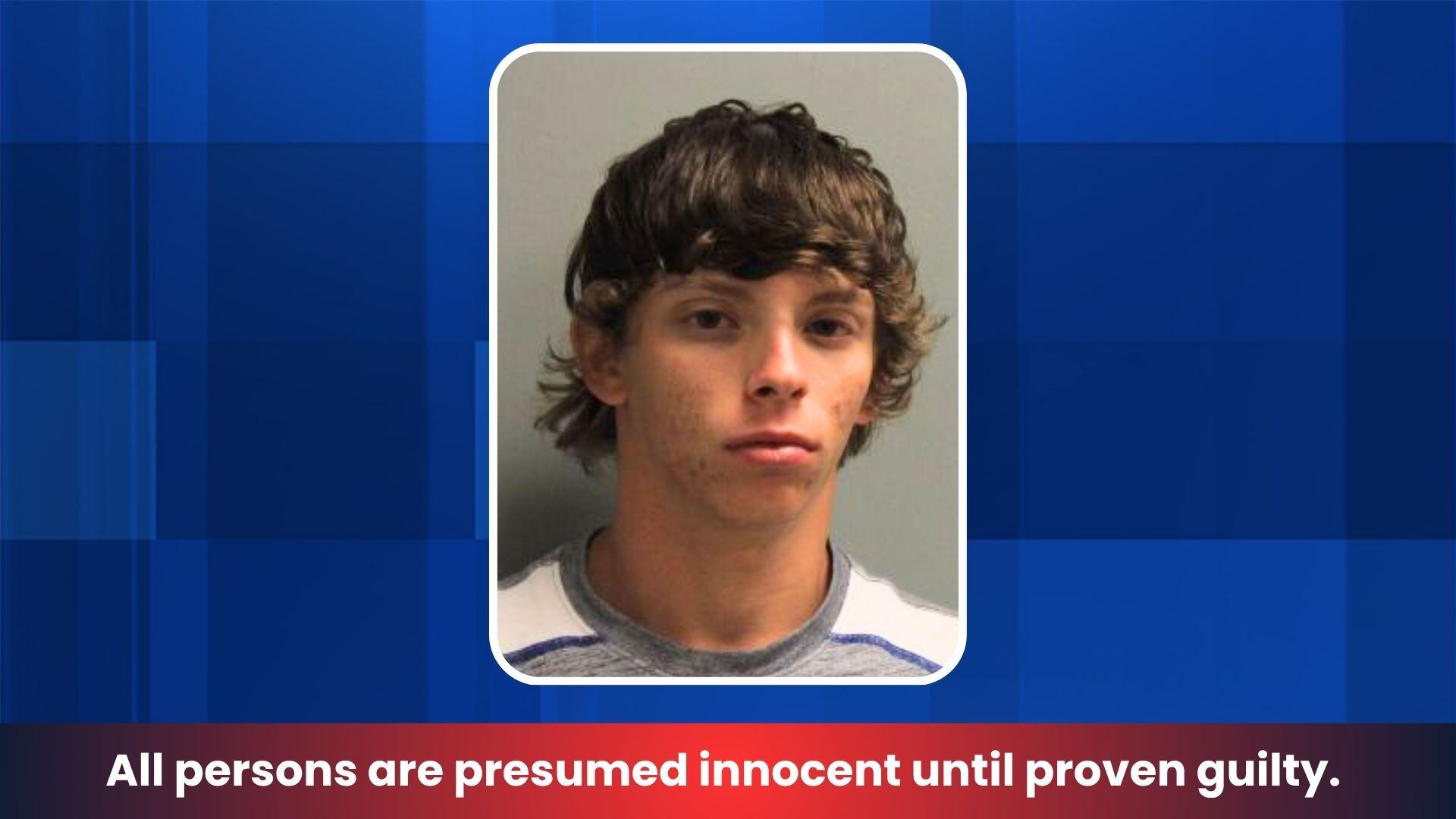 Pineville man arrested for carnal knowledge, indecent behavior with ...