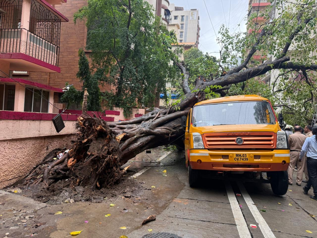 Mumbai school bus accident: One student dies, 10 injured after tree ...