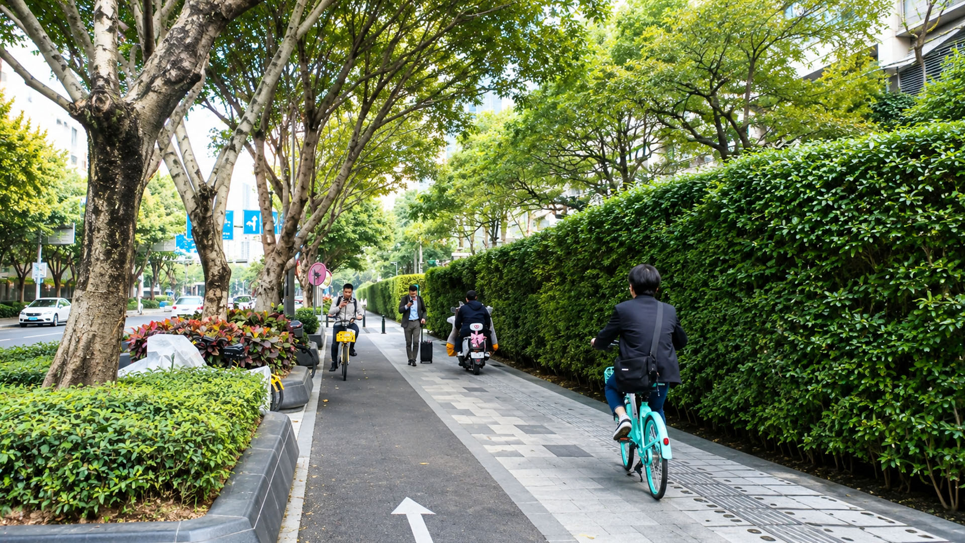 A green sidewalk lane shows the softer side of urban transport