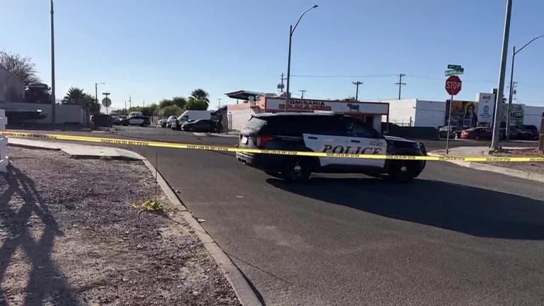 Document outlines struggle that led to deadly Tucson shooting