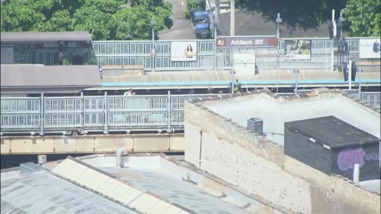Service disrupted after person is pinned by train on CTA Brown Line