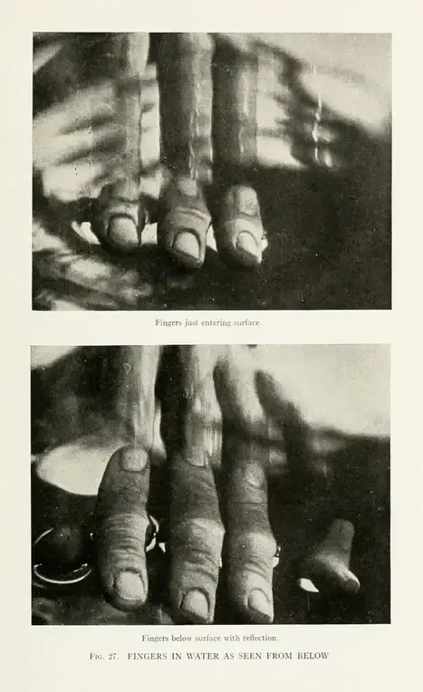 What’s it like to be a fish? Anglers 100 years ago used underwater ...