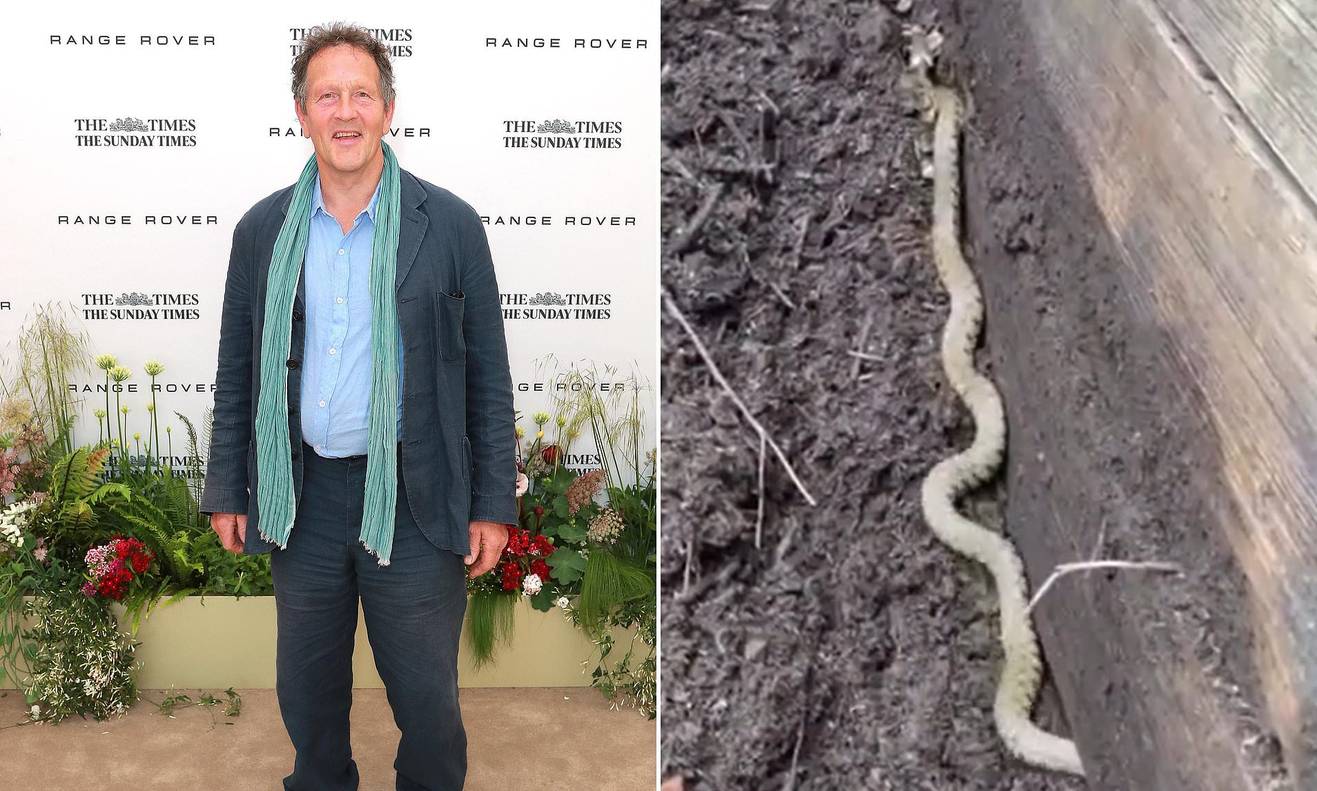 Monty Don shares video warning grass snakes could be lurking in your ...