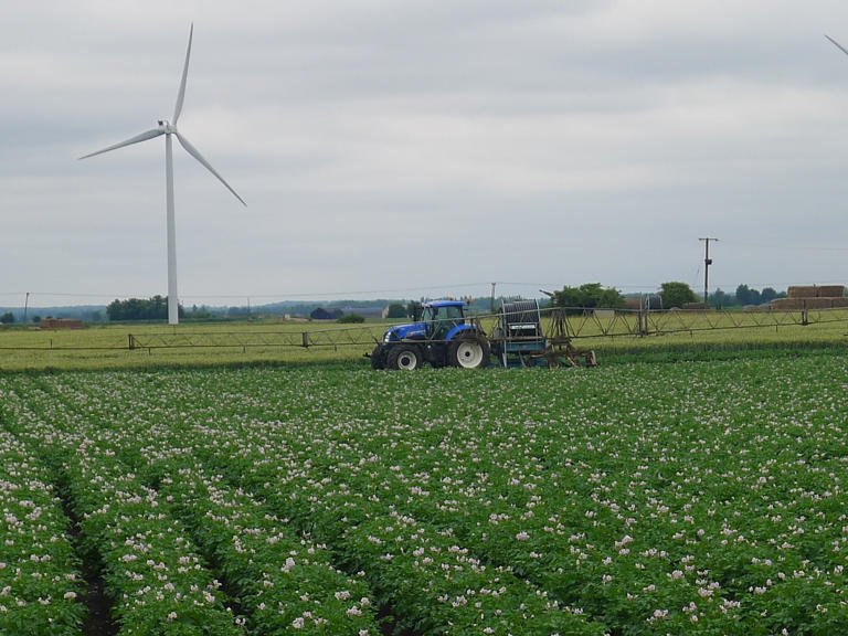 Major new report calls for urgent action to protect farming in the Fens