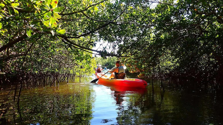 Between Tampa and the Everglades is a Gulf Coast county to retire to ...
