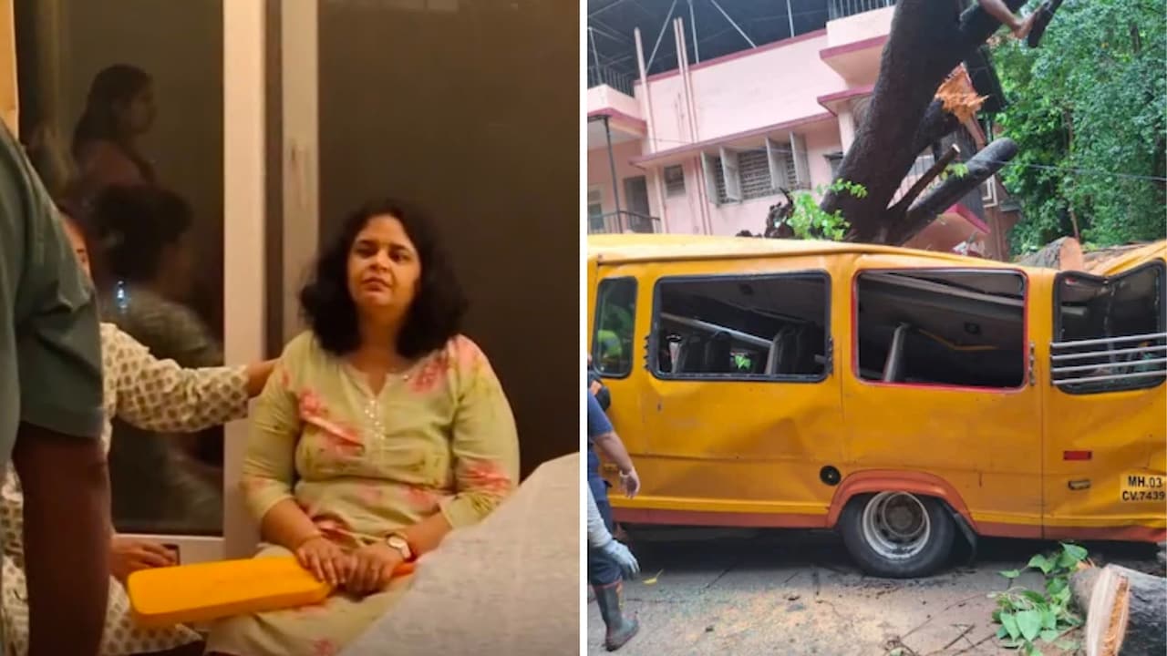 'He has to go play': Mother sits clutching bat after tree collapse ...