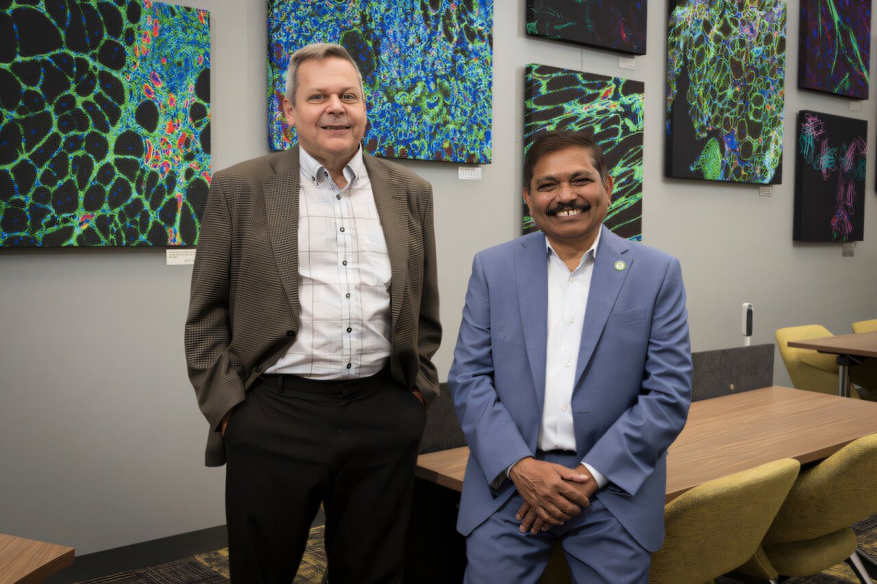 Treating Duchenne muscular dystrophy before symptoms emerge may improve ...