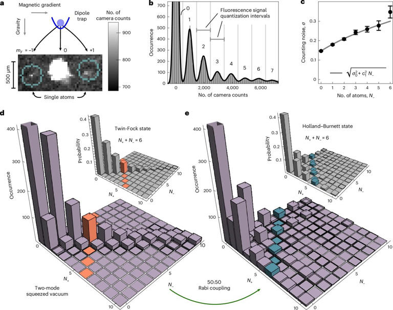 Physicists demonstrate Hong–Ou–Mandel interference with more than 10 atoms