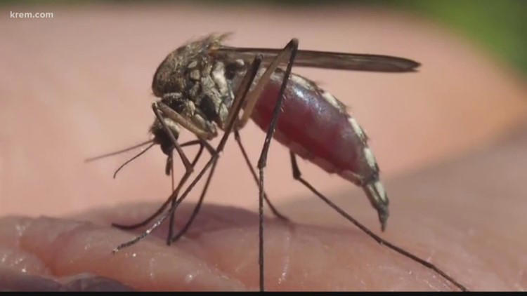 Mosquitoes test positive for West Nile virus in Grant County, says ...