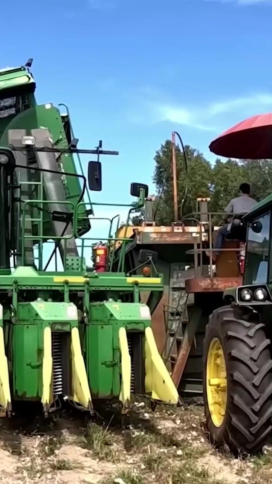 Twins go old school farming
