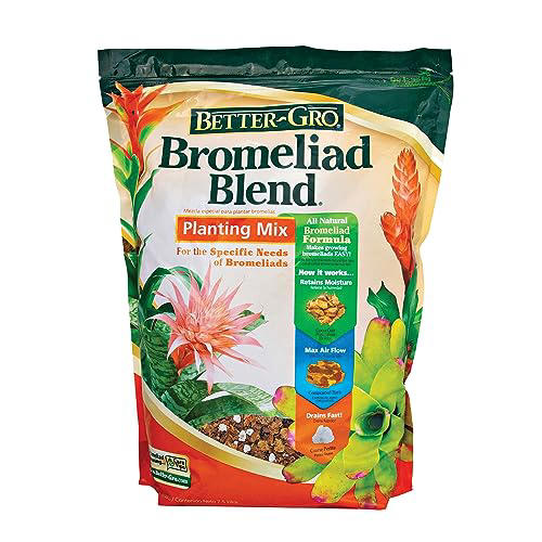 Put this flowering houseplant beside your bananas to encourage a second ...