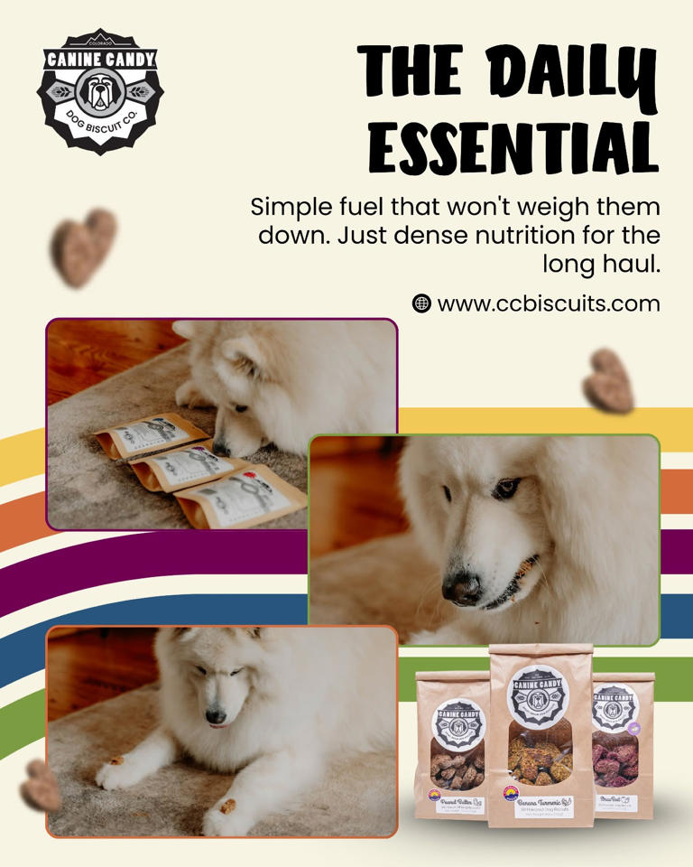 Canine candy biscuits: Healthy dog treats made from leftover beer grain