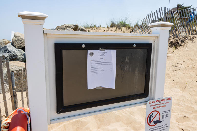 North Shore beach closures could lift in time for heatwave, July 4th ...