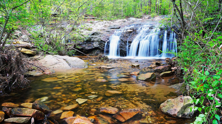 Forget Florida, retire to Alabama's largest suburban city with golf ...