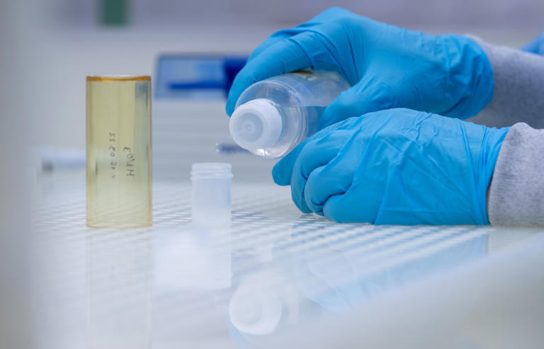 Illinois to cover automatic blood tests for lead in all children under ...