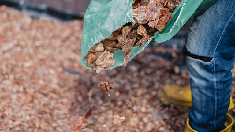 Not gravel, not stone: This eco-friendly patio alternative also costs ...