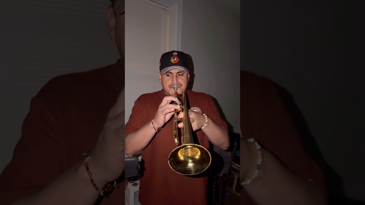 When you wanna be in a garage band but your homies only play classical ...