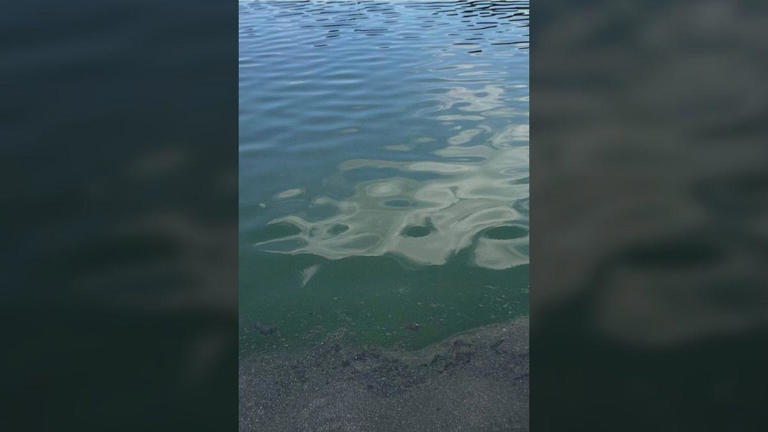 Stormy Daniels mocks Donald Trump’s reflecting pool renovations ...