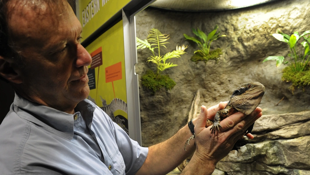 Common mistakes in reptile enclosure care
