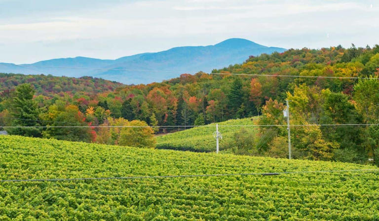 A perfect fall weekend in Québec's Eastern Townships