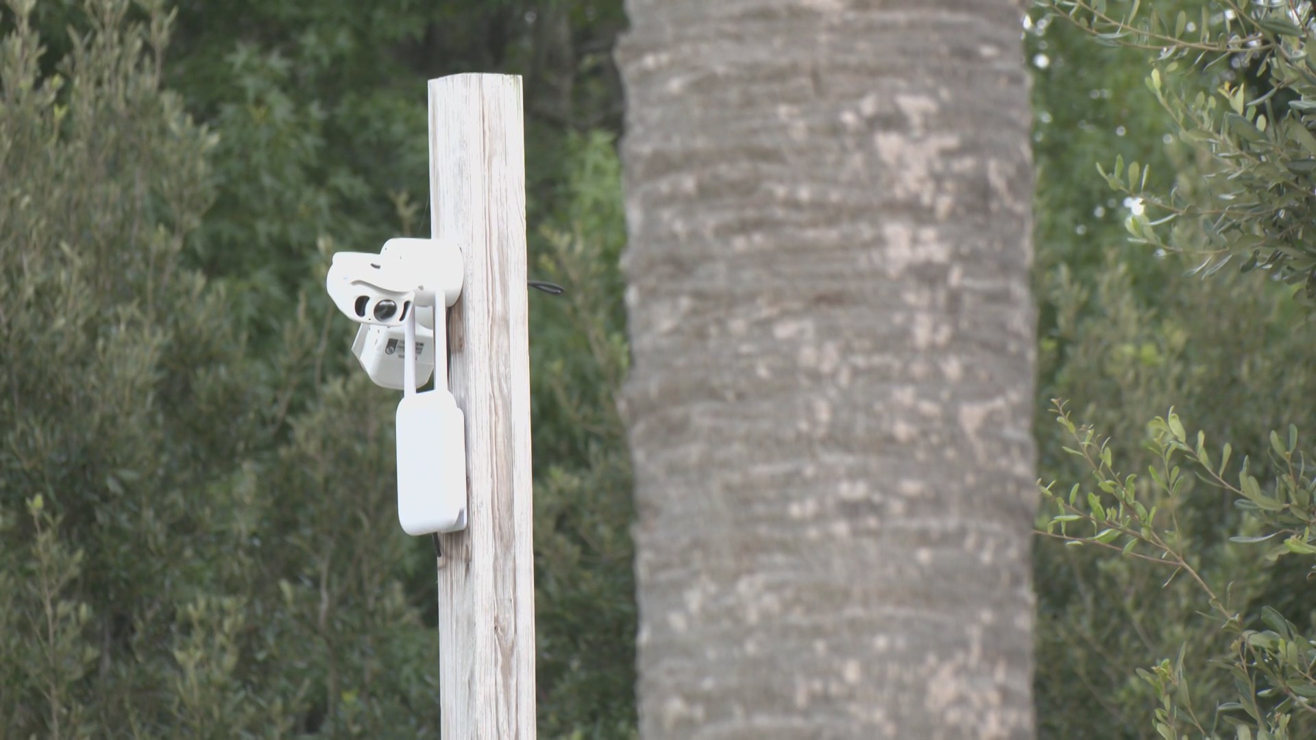 Hilton Head Island adding more, enhanced cameras to Coligny Beach, Park