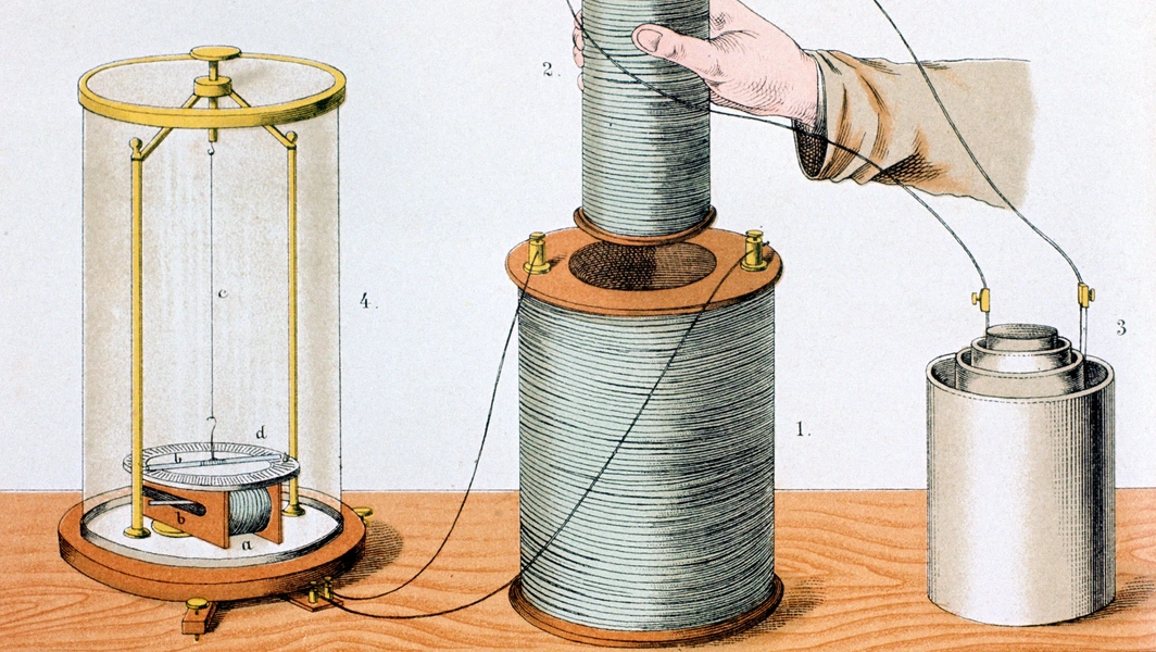 14 remarkable discoveries made by non-experts