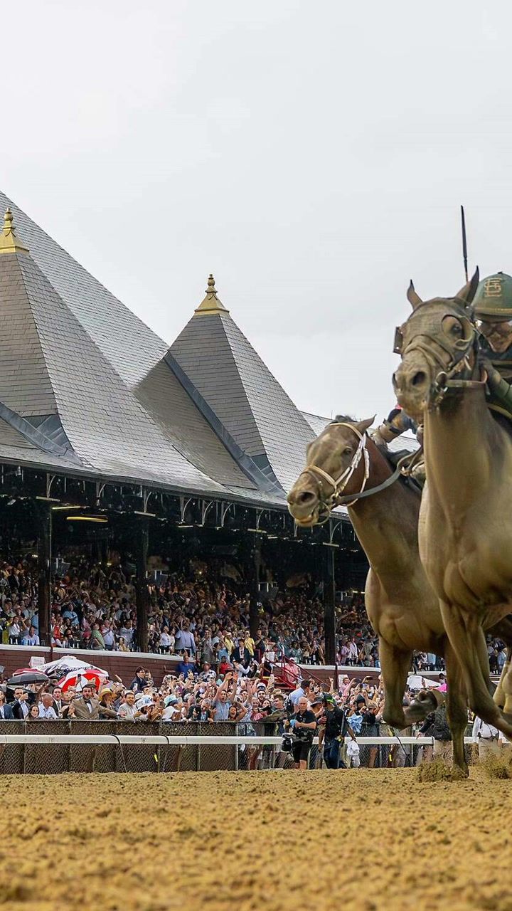 Golden Tempo to miss Saratoga's Jim Dandy, still on course for Travers