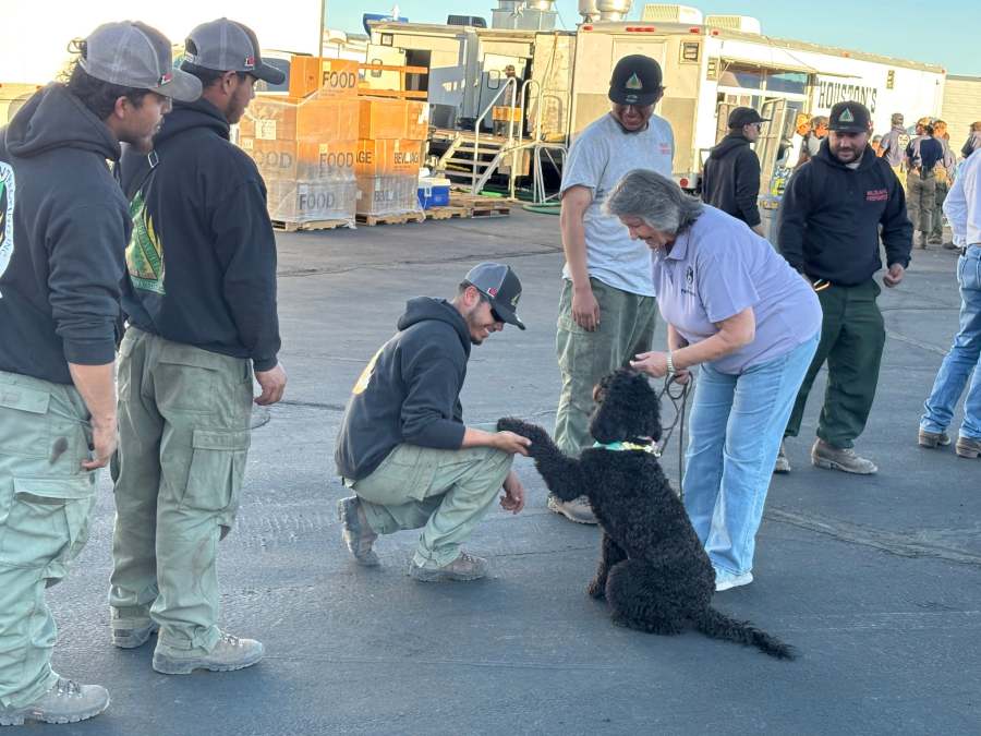 Low temperatures aid Cottonwood fire fight, structure protection ops ...