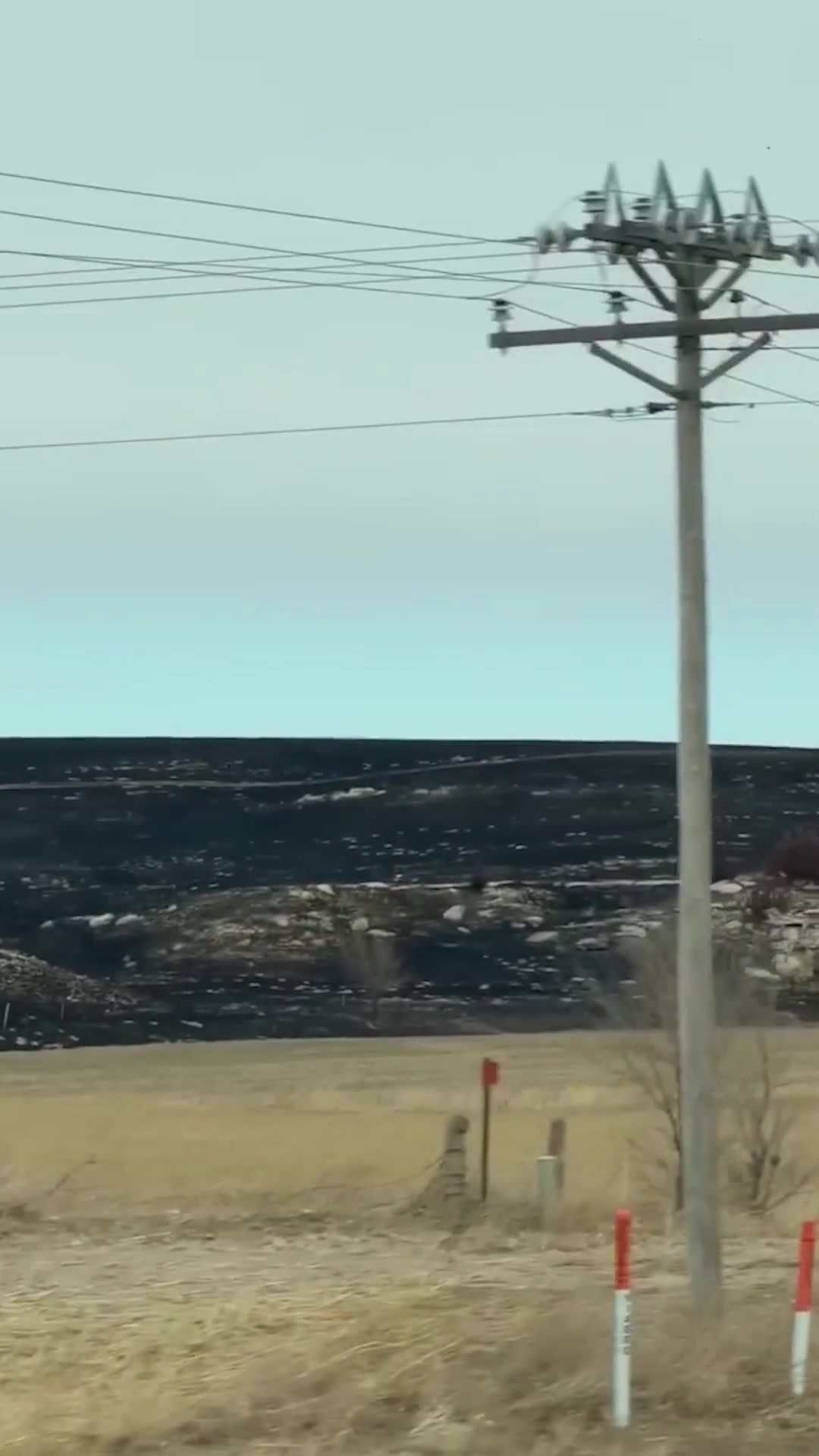 Delivering hay bales after the wildfire