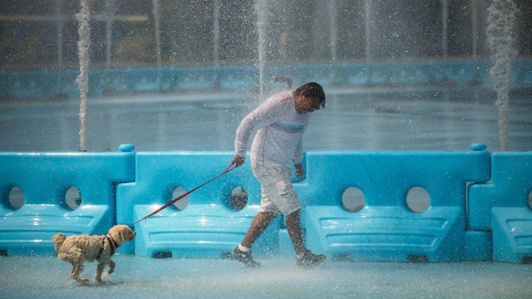 Dangerous heat wave arrives before July 4 — here's the paw test every ...