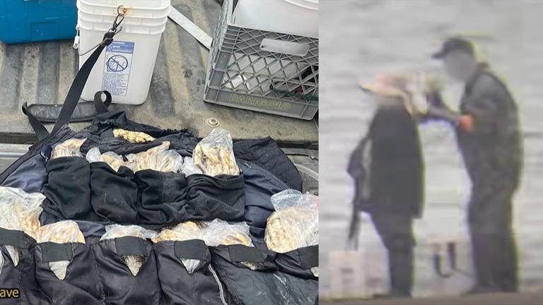 Custom puffer jacket used to hide illegal Dungeness crabs on WA coast