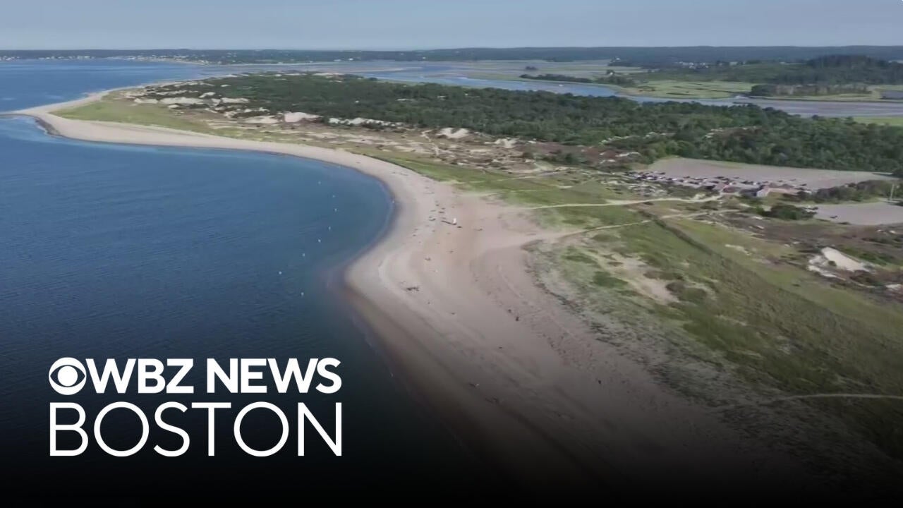 Healey clarifies that Massachusetts beaches are open, but swimming is ...