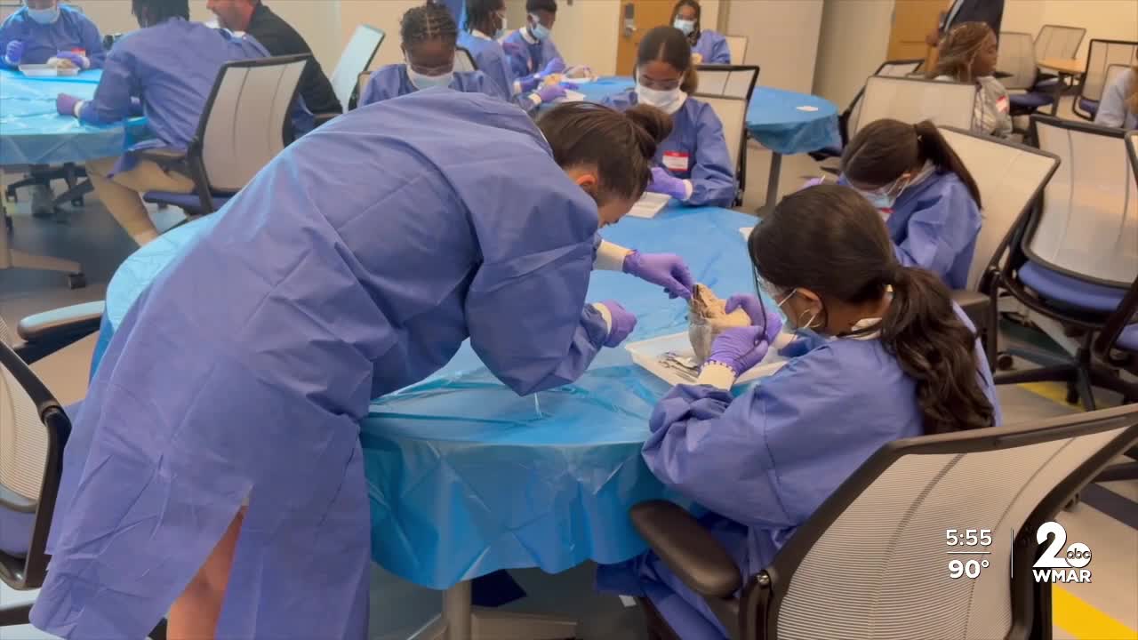 Morgan State's Anatomy Academy trains future healthcare workers