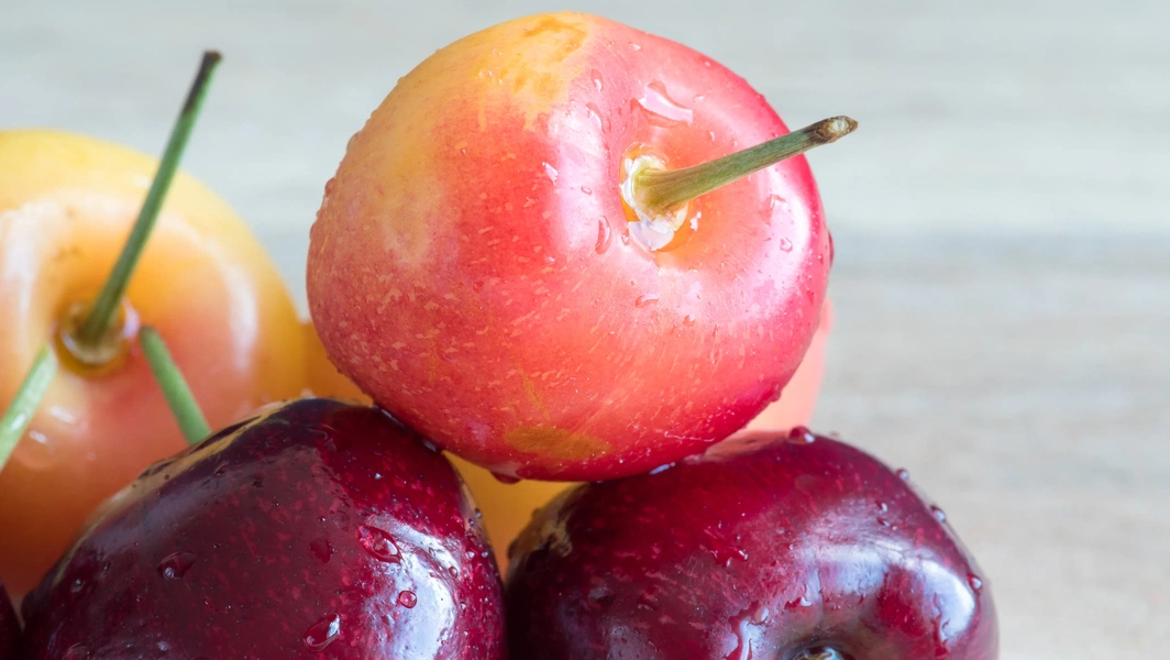 8 sweet cherry varieties and their distinct traits