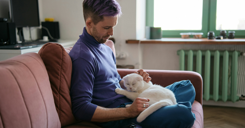 Computer science student rescues a cat and unintentionally names him ...