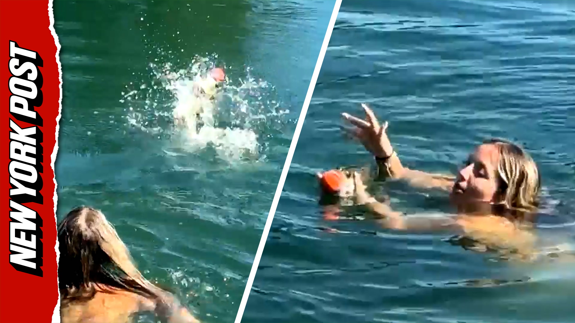 Hilarious moment fish joins dog's game of fetch